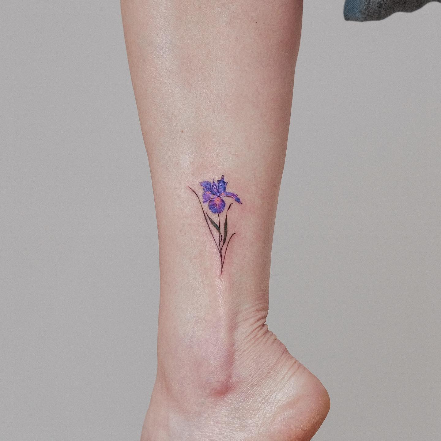 Iris Flower Tattoo Designs Best Flower Site Iris Flower Tattoo Designs Best Flower Site